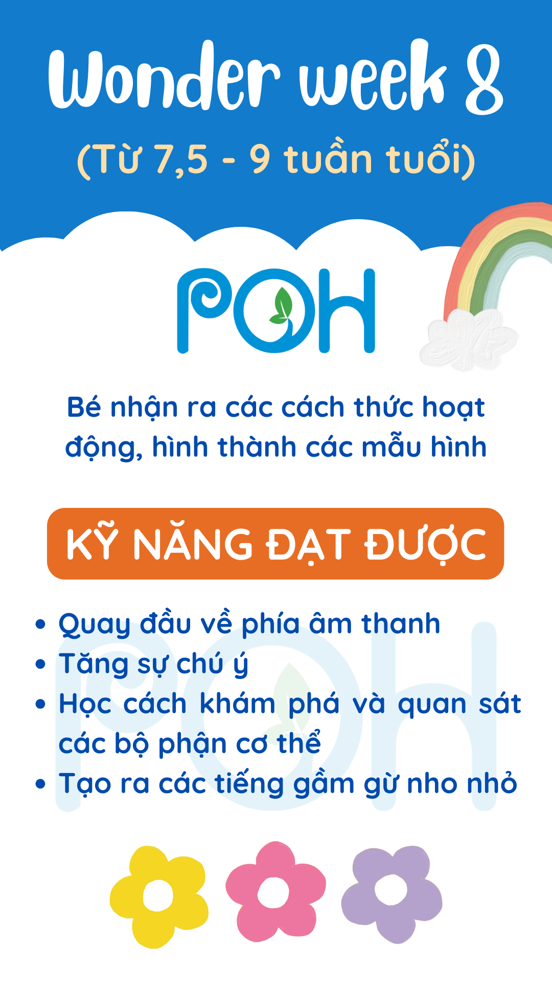 Wonder week là gì? Lịch wonder week chi tiết của bé